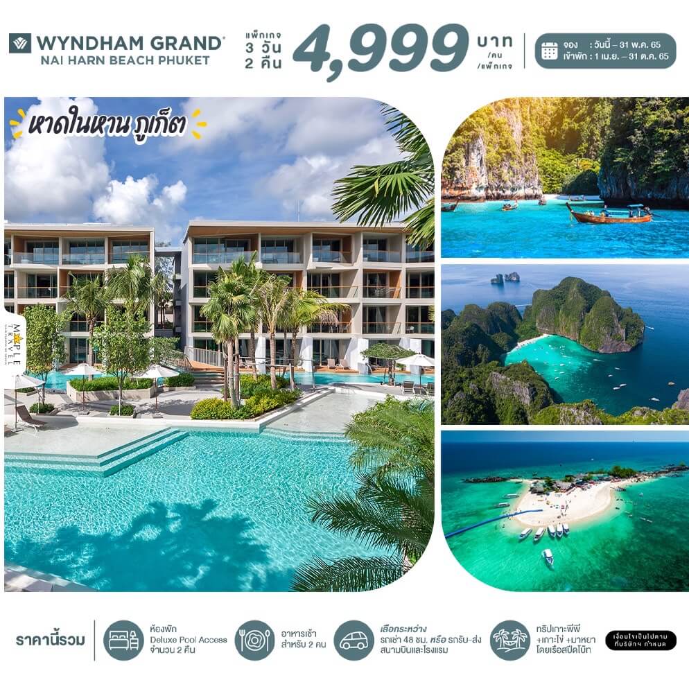 Maple Travel - เปิดประสบการณ์ท่องเที่ยวแบบใหม่ ตามใจคุณ